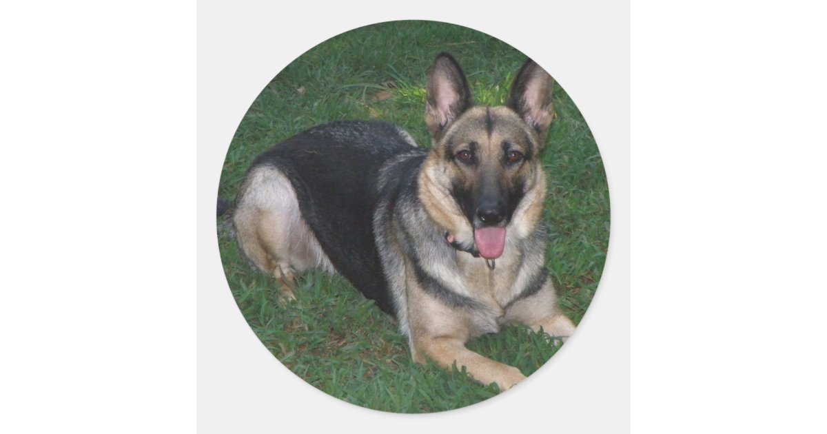 German Shepherd Classic Round Sticker | Zazzle