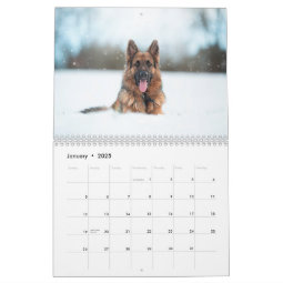 German shepherd dog 2021 calendar. calendar | Zazzle