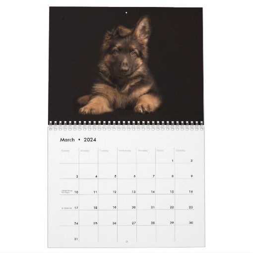 German shepherd dog 2021 calendar. calendar | Zazzle