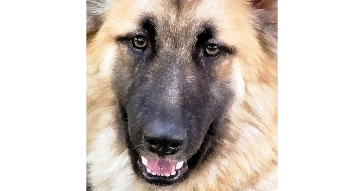 GERMAN SHEPHERD DOG POSTER | Zazzle