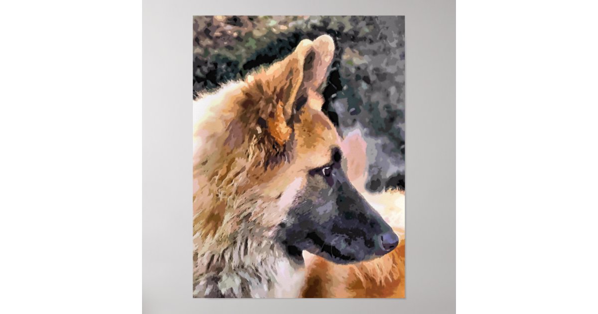 GERMAN SHEPHERD DOG POSTER | Zazzle