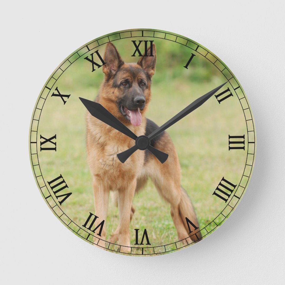 German shepherd dog round clock | Zazzle