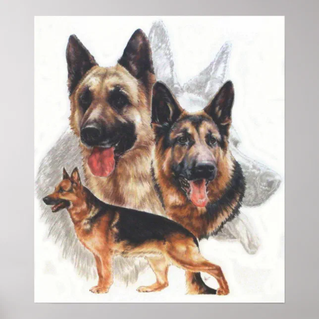 German Shepherd "Ghost" Collage Poster | Zazzle