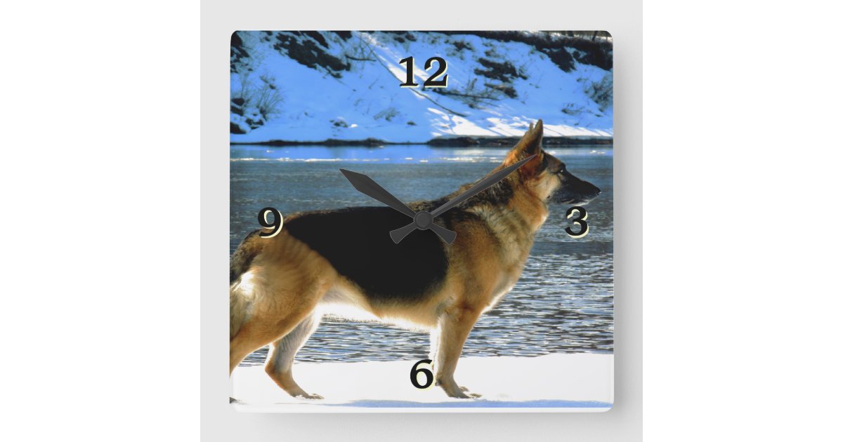German Shepherd Photo Wall Clock | Zazzle