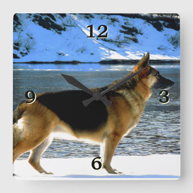 German Shepherd Photo Wall Clock | Zazzle