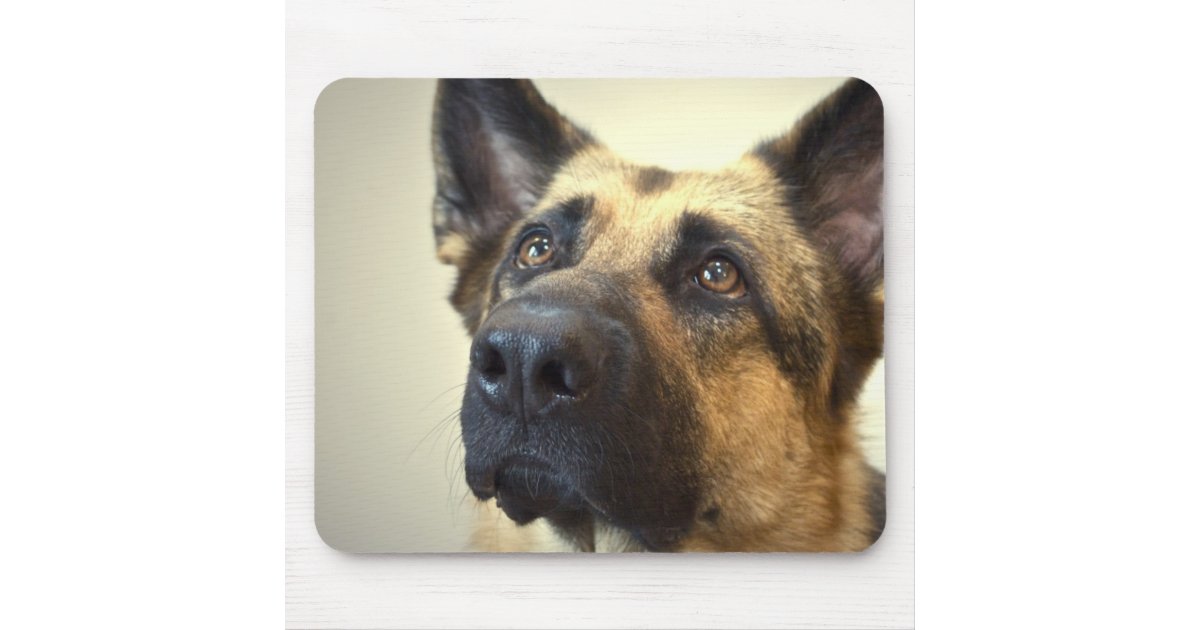 German Shepherd Picture Mouse Pad | Zazzle