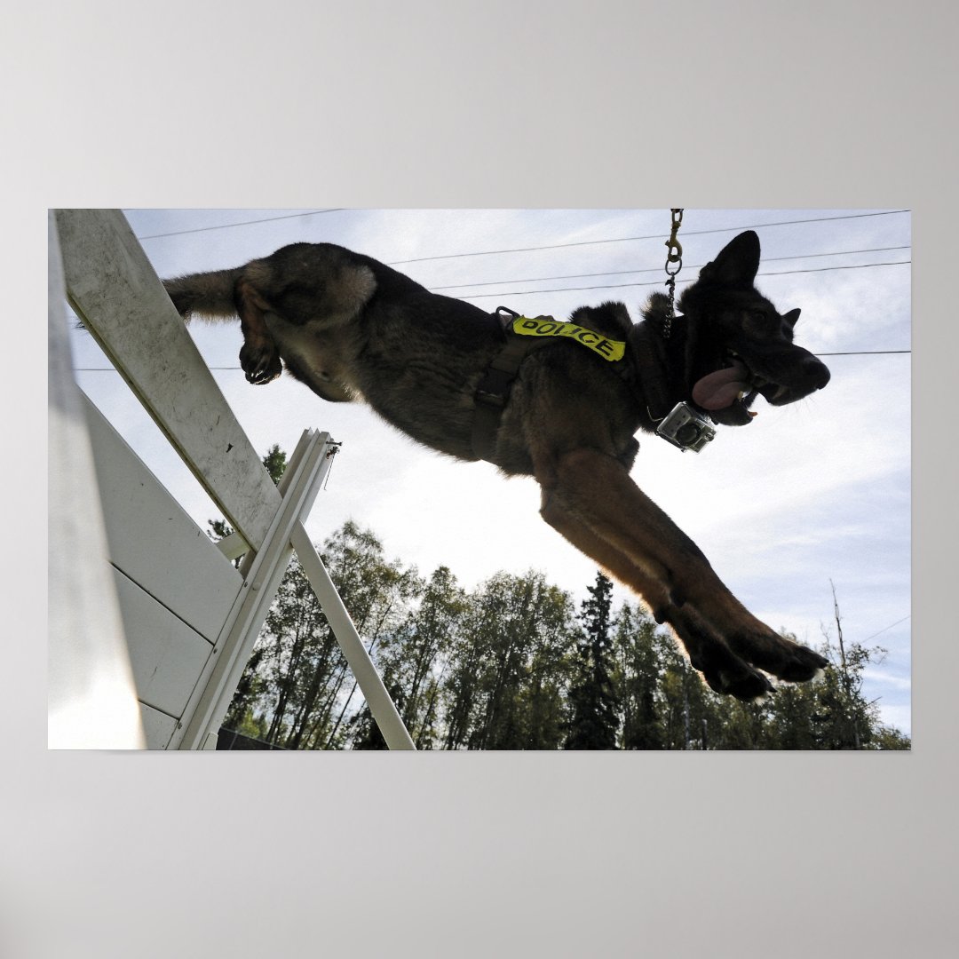German Shepherd Police Dog Poster | Zazzle