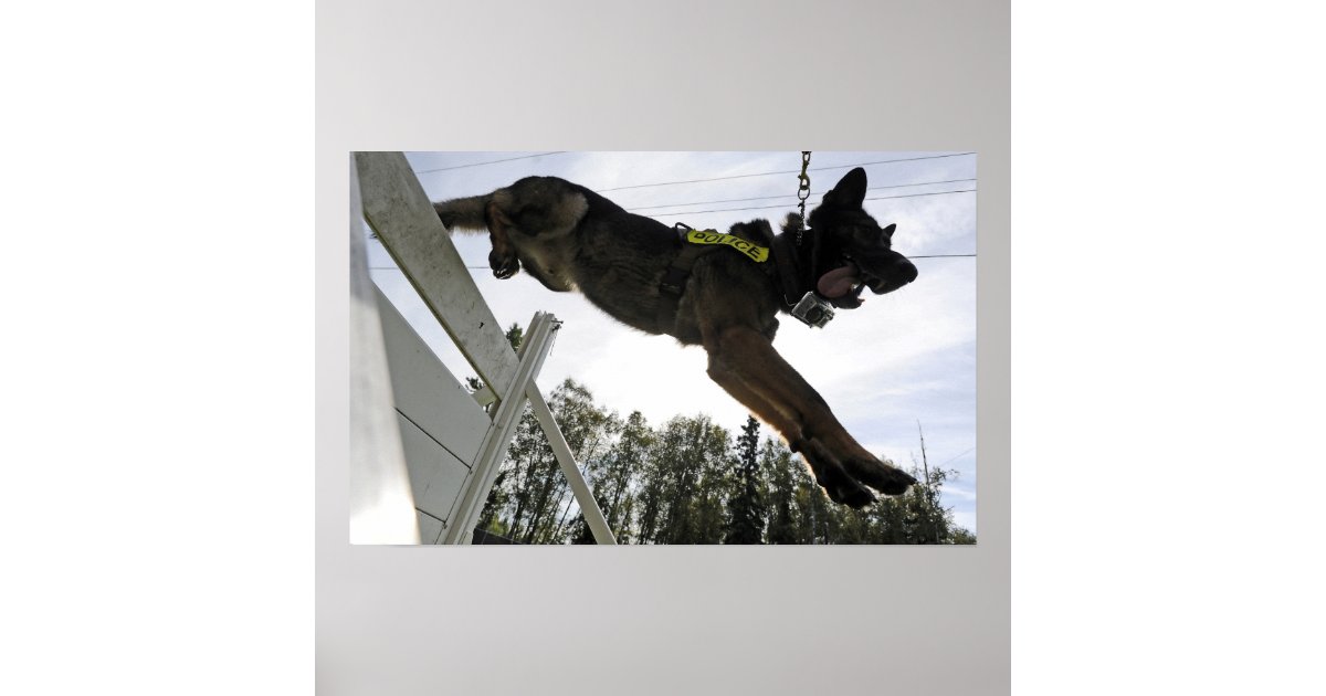 German Shepherd Police Dog Poster | Zazzle