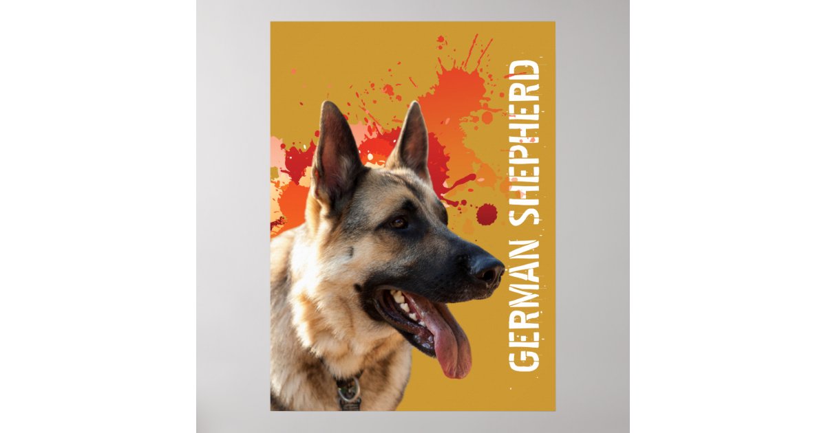 German Shepherd Poster | Zazzle