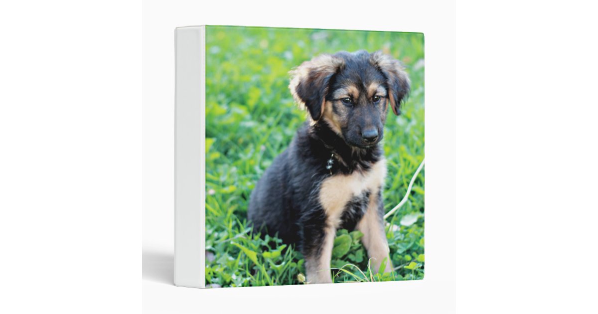 German Shepherd Puppy 3 Ring Binder | Zazzle