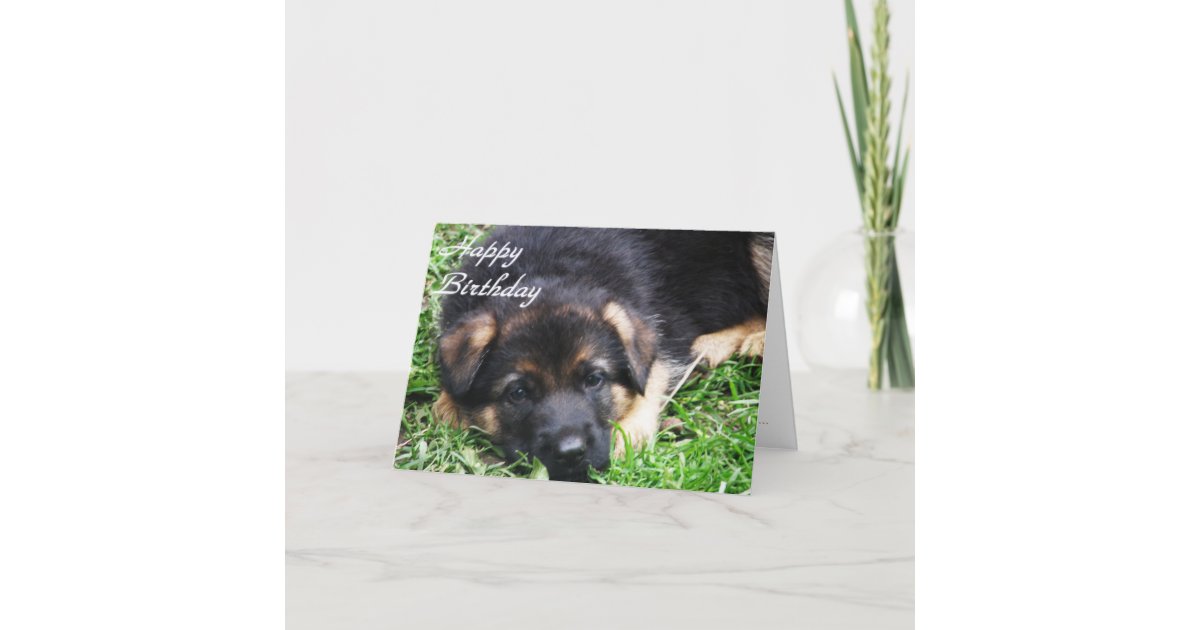 German Shepherd Puppy - Birthday card | Zazzle