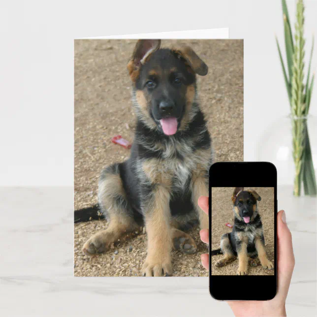 German Shepherd Puppy Greeting Card | Zazzle