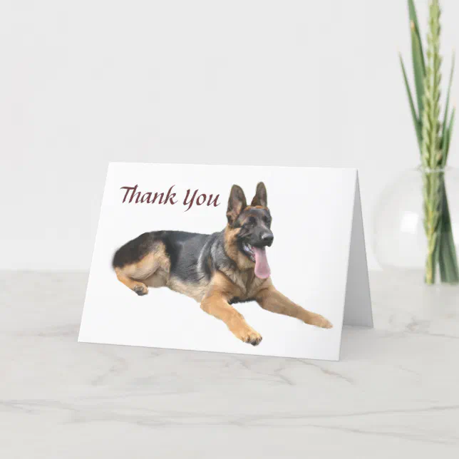 german-shepherd-thank-you-card-zazzle
