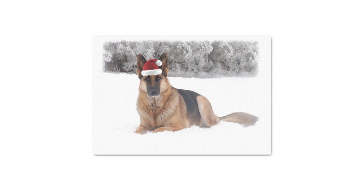 German Shepherd Tissue Paper | Zazzle.com