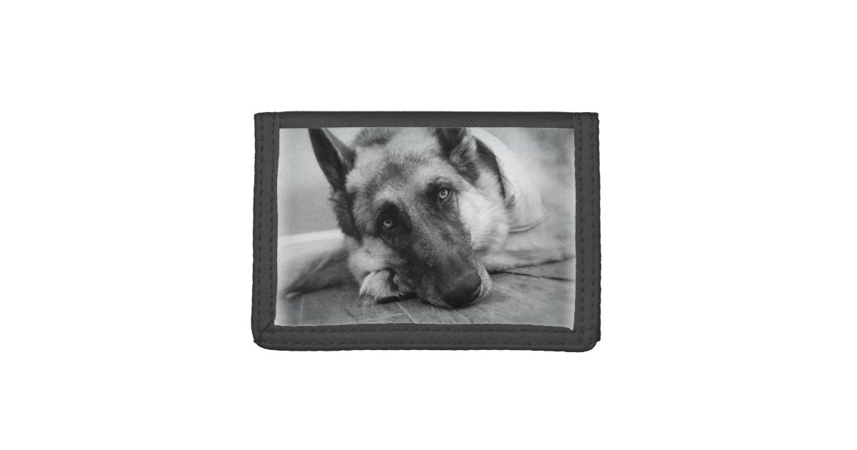 German Shepherd Trifold Wallet | Zazzle