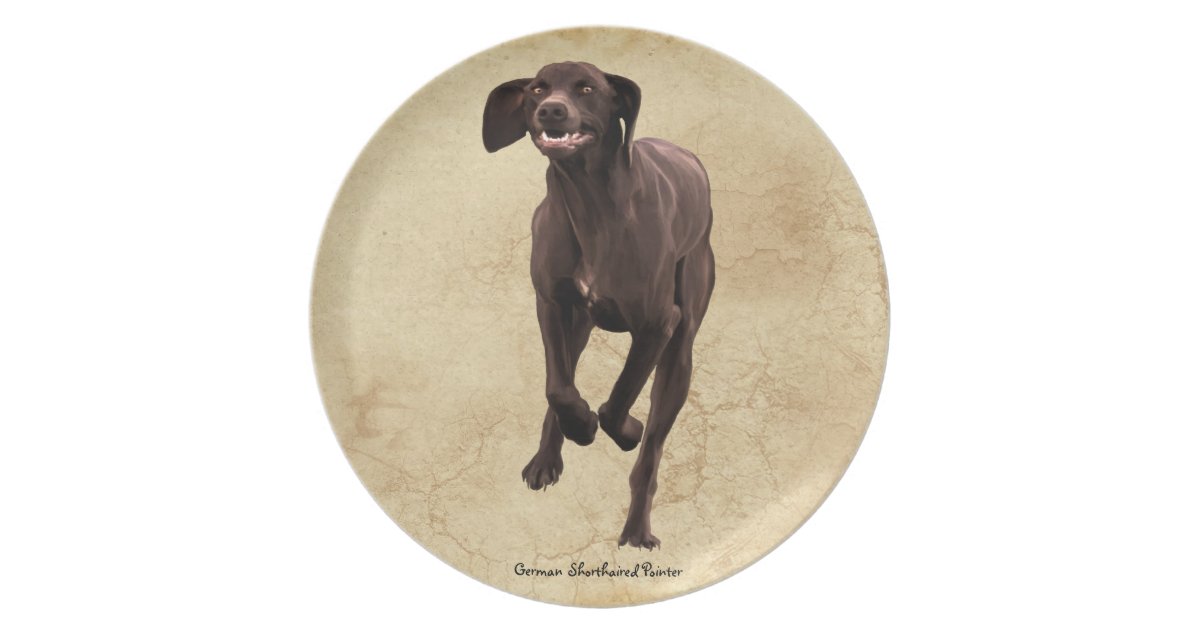 German Shorthaired Pointer Pet-lover Dinner Plate | Zazzle
