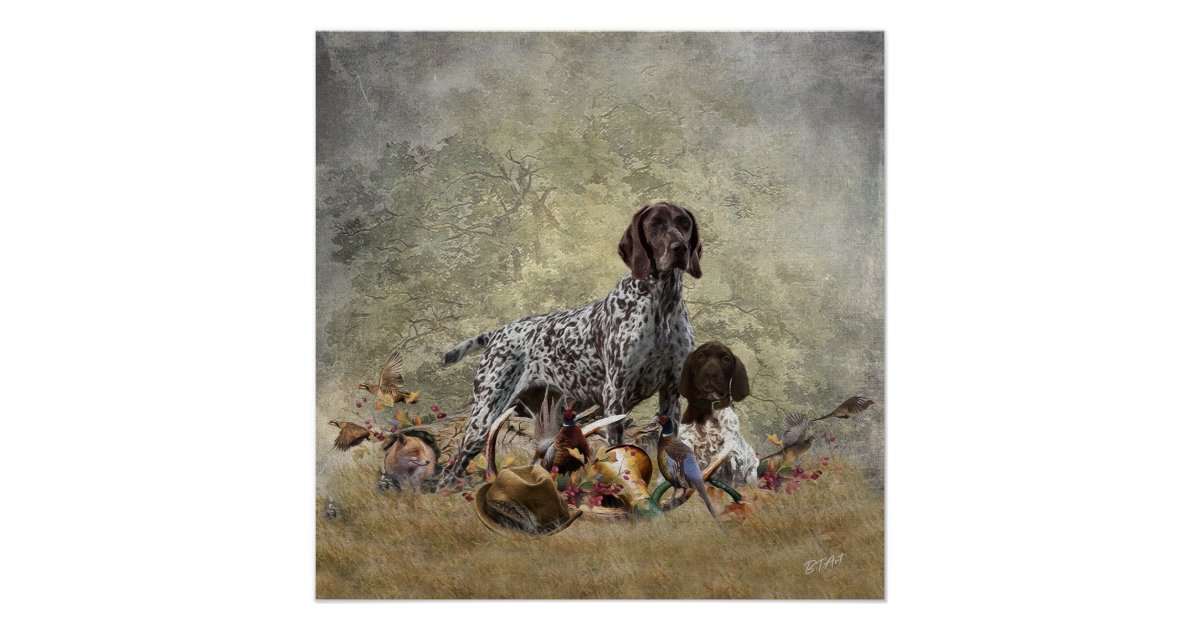 German Shorthaired Pointer Poster | Zazzle