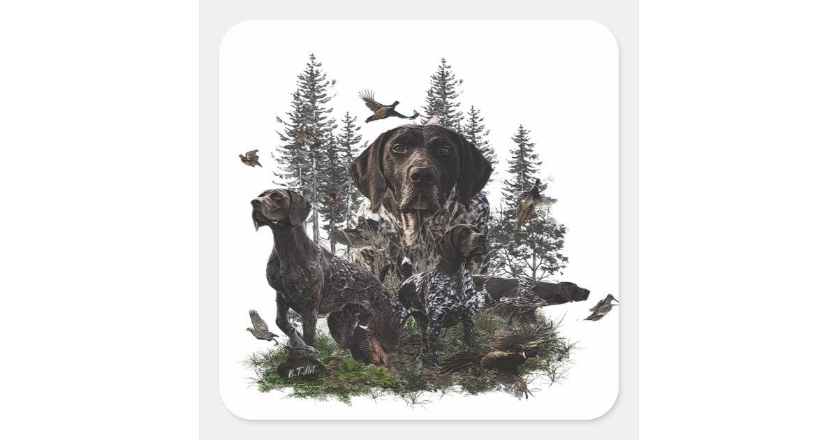 German Shorthaired Pointer Square Sticker | Zazzle