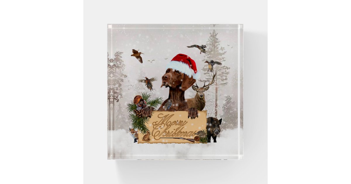 German Shorthaired Pointer Wooden Box Sign Paperw Paperweight | Zazzle