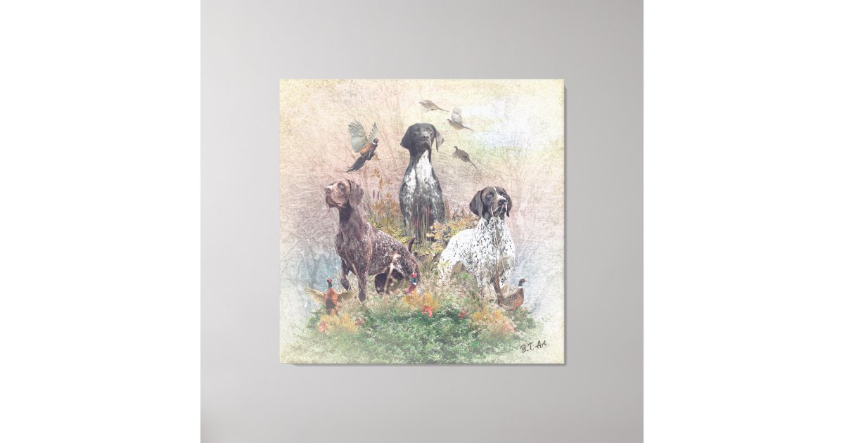 German Shorthaired Pointers (GSP), a hunting pheas Canvas Print | Zazzle