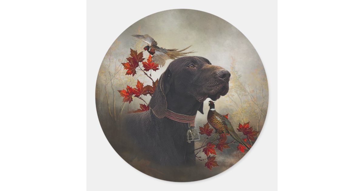 German Shorthaired Pointers (GSP) Classic Round Sticker | Zazzle