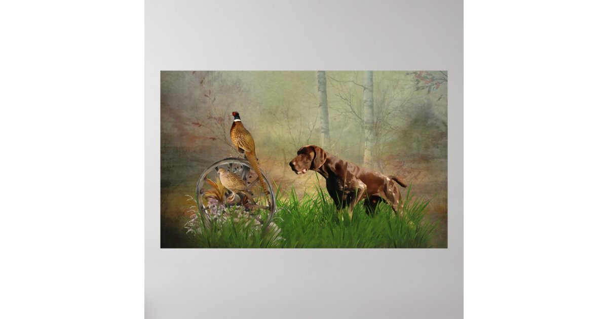 German Shorthaired Pointers (GSP) Poster | Zazzle
