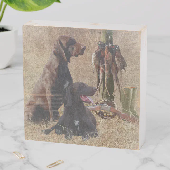 German Shorthaired Pointers (GSP) Wooden Box Sign | Zazzle