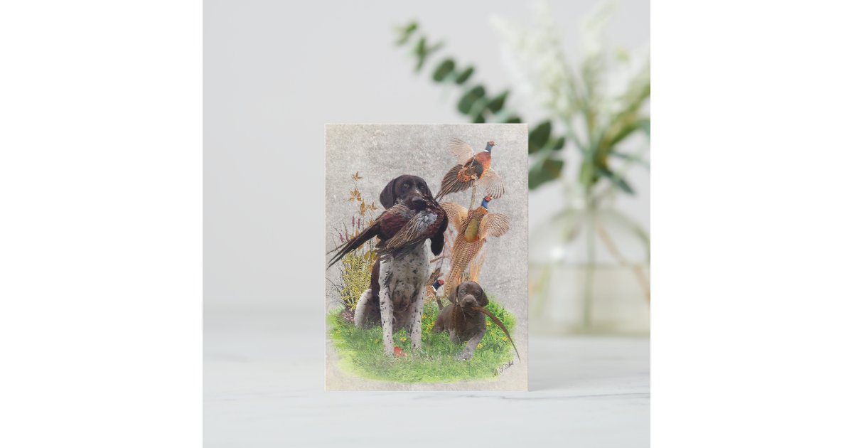 German Shorthaired Pointers (GSP) Wooden Box Sign Postcard | Zazzle