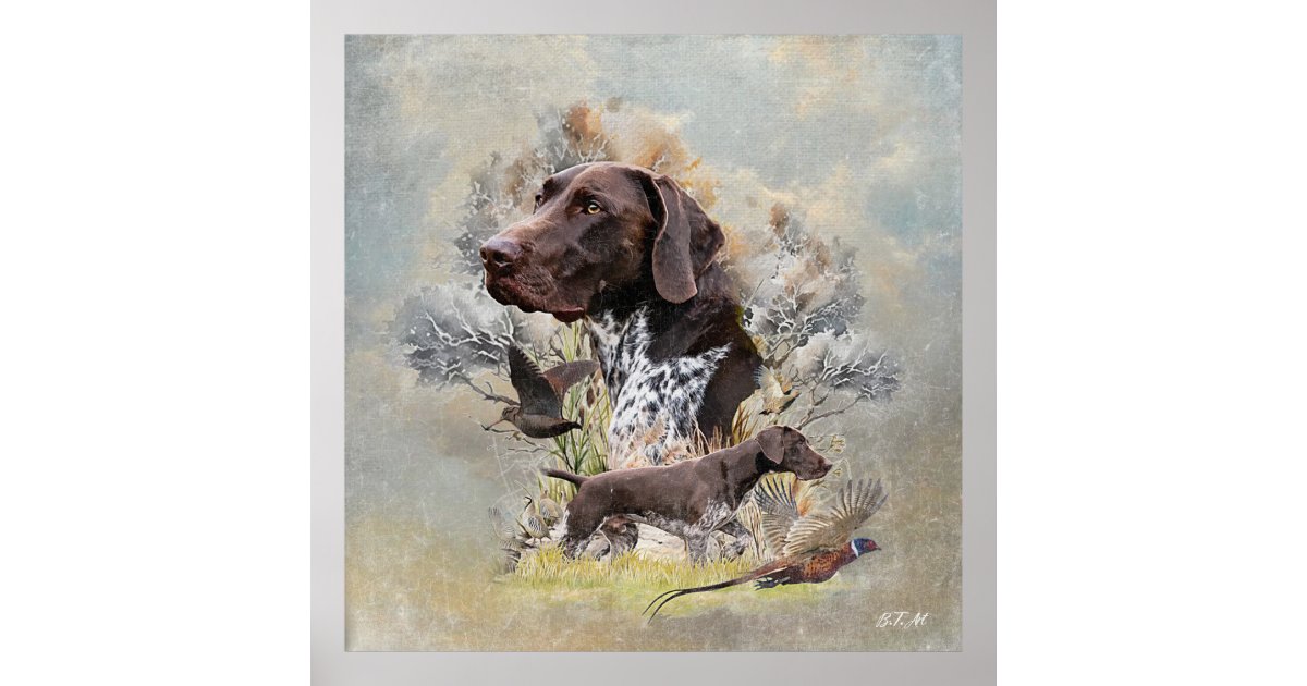 German Shorthaired Pointers Poster | Zazzle