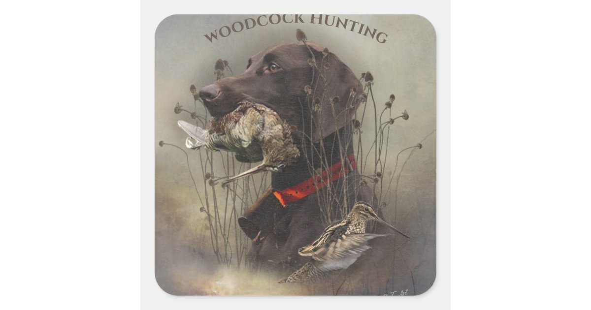 German Shorthaired Pointers Square Sticker | Zazzle