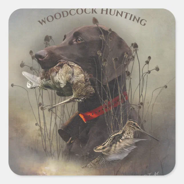 German Shorthaired Pointers Square Sticker | Zazzle