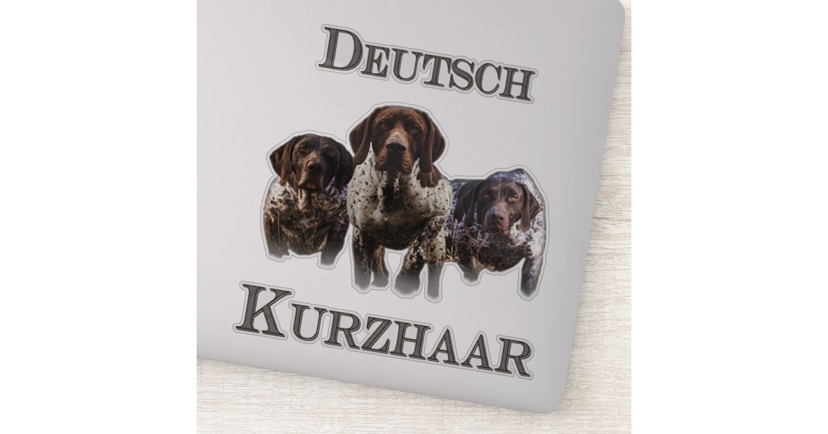 German Shorthaired Pointers Sticker | Zazzle