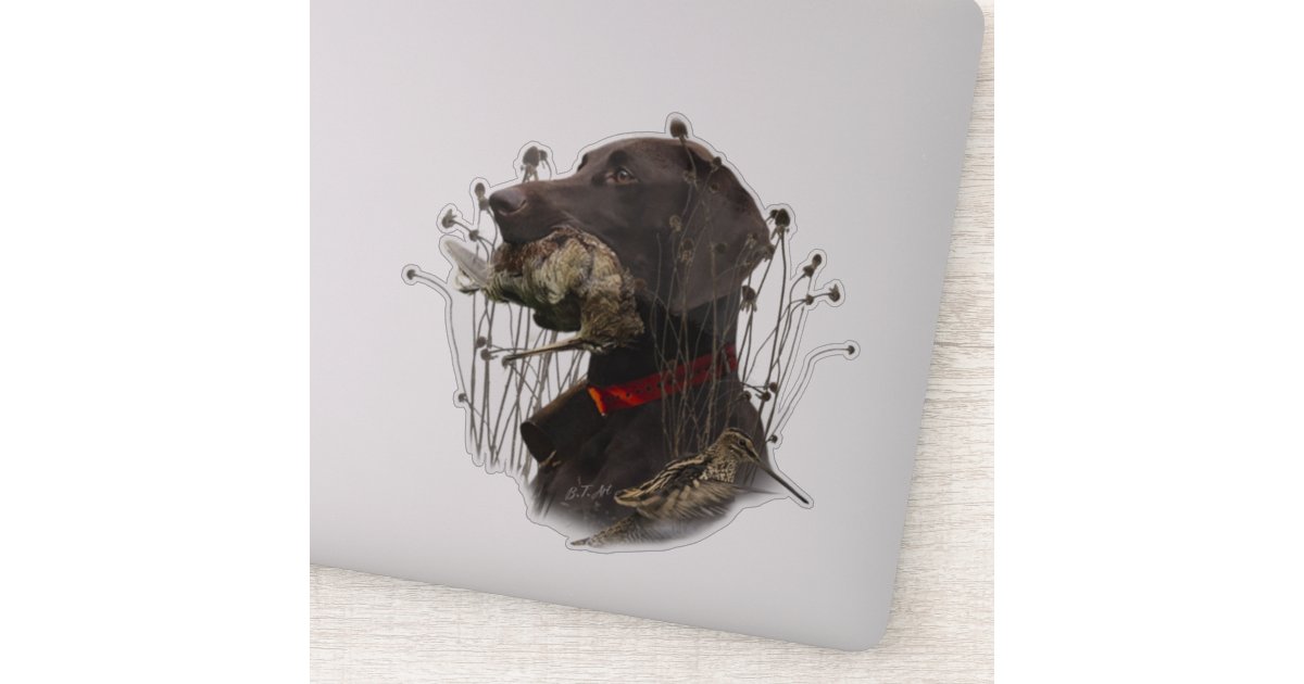 German Shorthaired Pointers Sticker | Zazzle