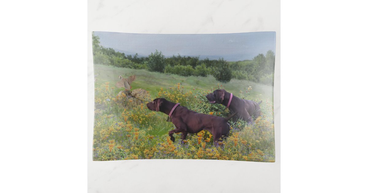 German Shorthaired Pointers Trinket Tray | Zazzle