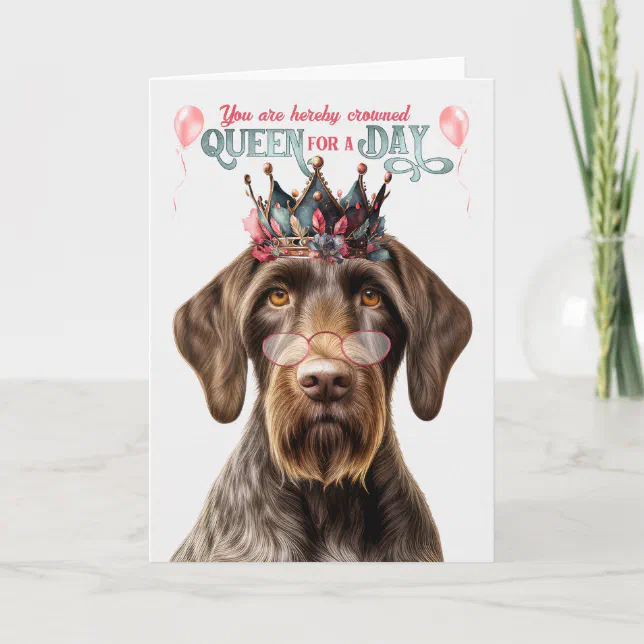 German Wirehair Pointer Queen Day Funny Birthday Card | Zazzle