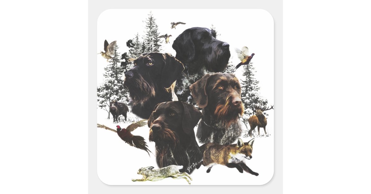 German Wirehaired Pointer Square Sticker | Zazzle