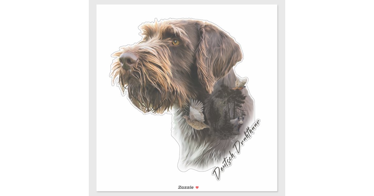 German Wirehaired Pointer Sticker | Zazzle