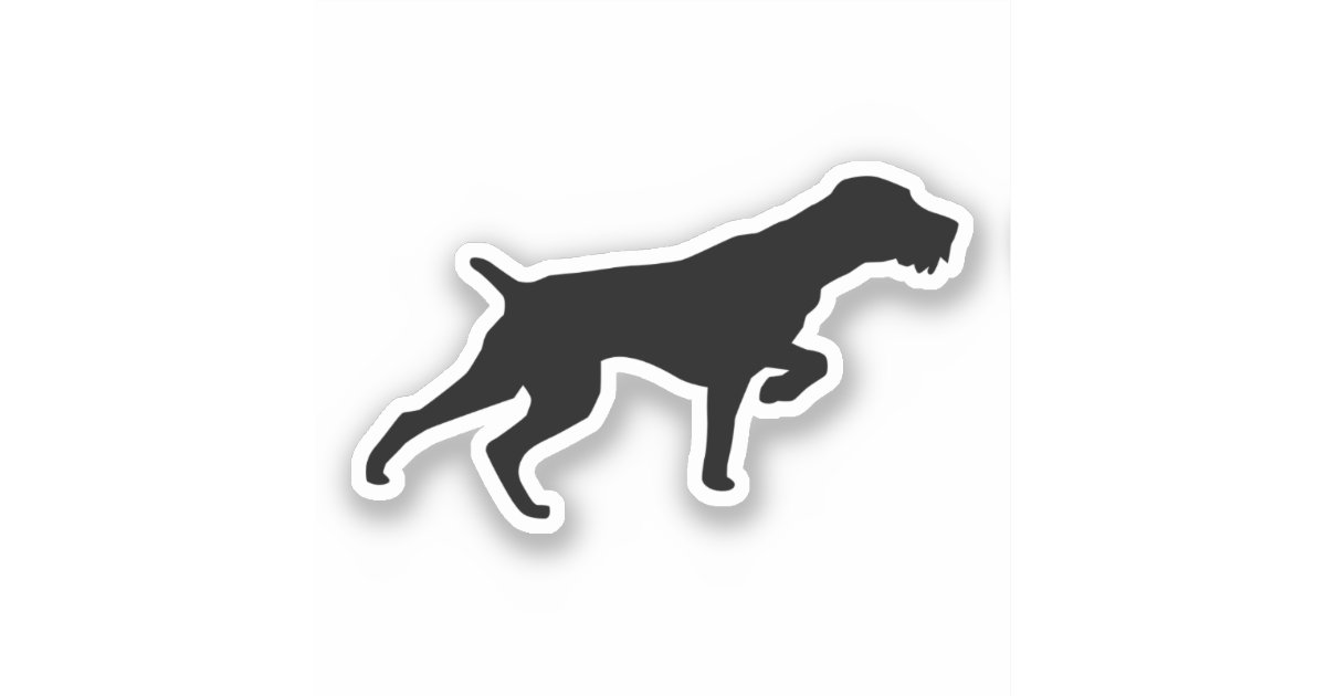 German Wirehaired Pointer Sticker | Zazzle