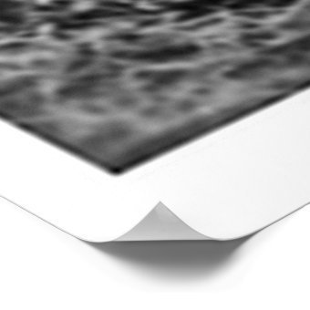 Geronimo with Rifle 1886 Poster | Zazzle