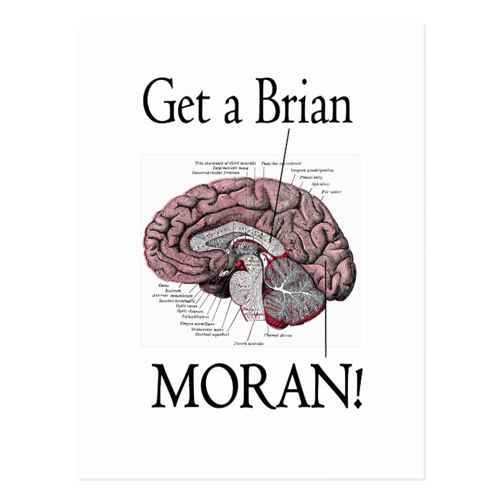 Get a Brian, Moran! Postcard | Zazzle.com