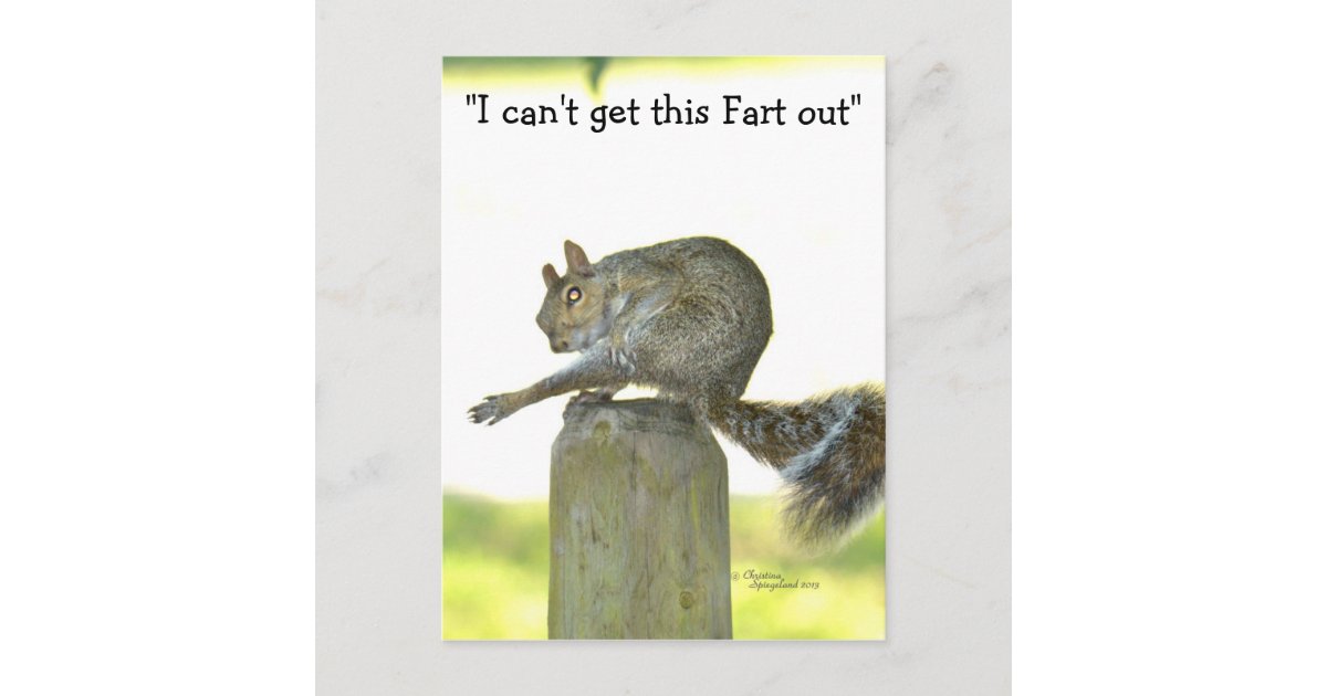 Get this fart out Funny Squirrel Postcard | Zazzle