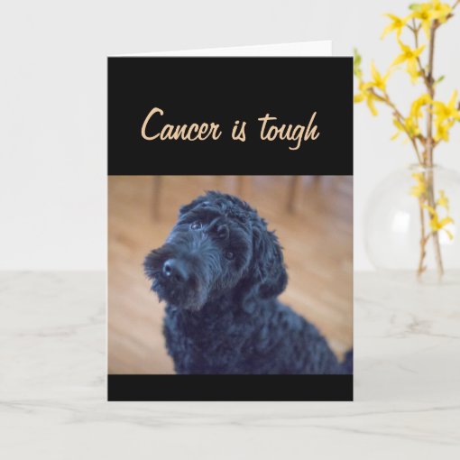 Get Well Cancer is Tough Choose Hope Cute Dog Card | Zazzle