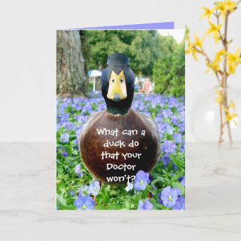 Get well card funny duck | Zazzle