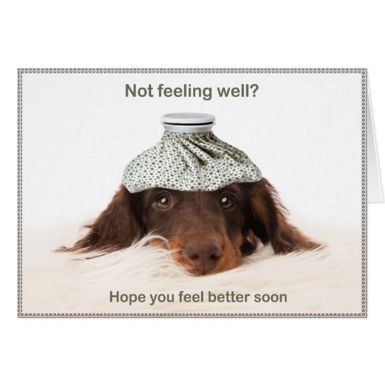 Get well card with a dachshund hound dog | Zazzle.com