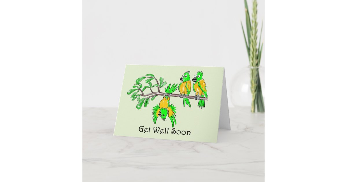 Get Well Cartoon Style Parrots Card | Zazzle
