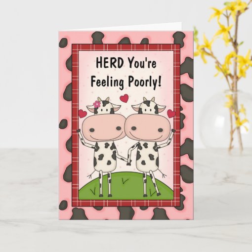 Get Well - Cows Card | Zazzle