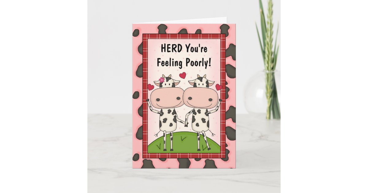 Get Well - Cows Card | Zazzle