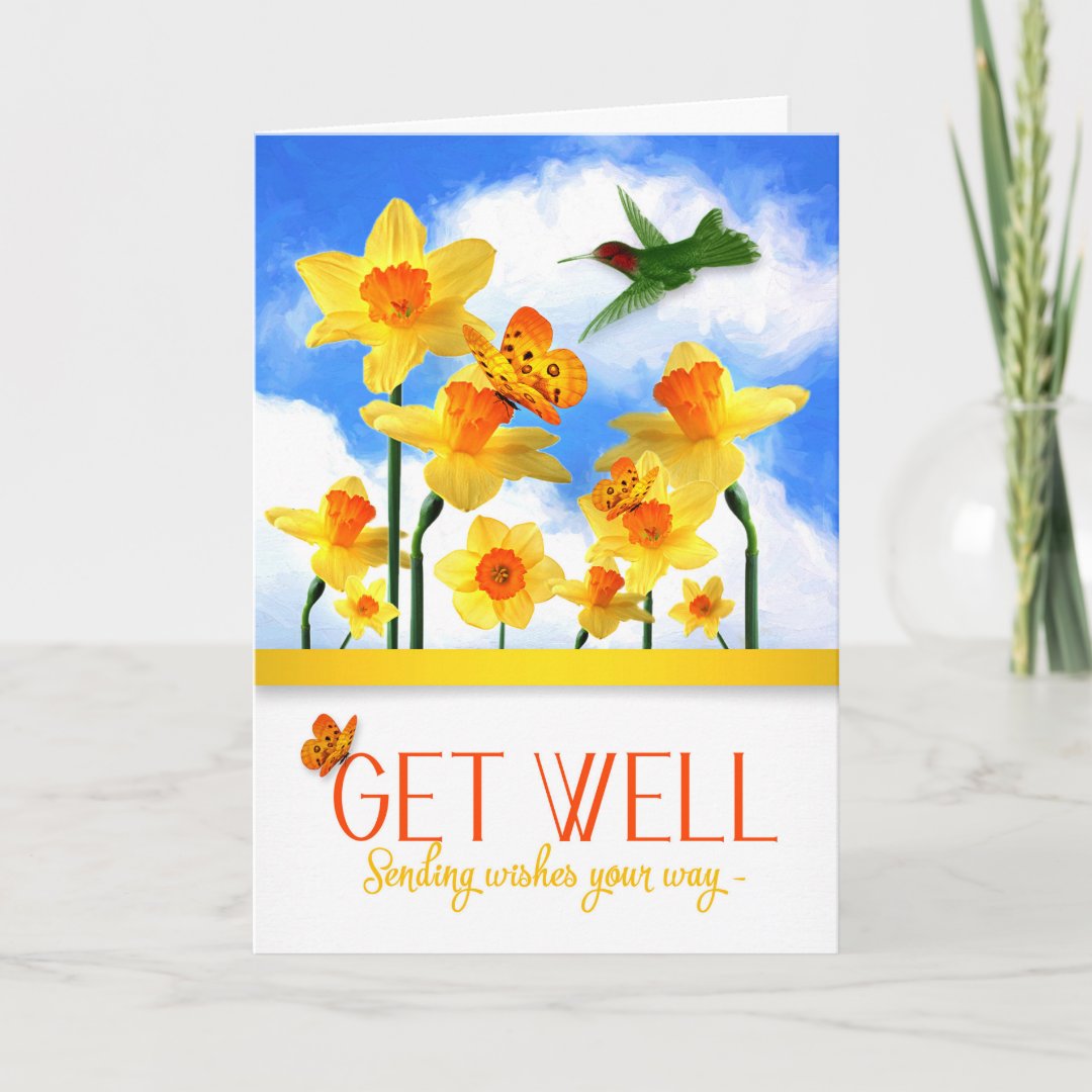 Get Well Daffodil Garden with Hummingbird Card | Zazzle