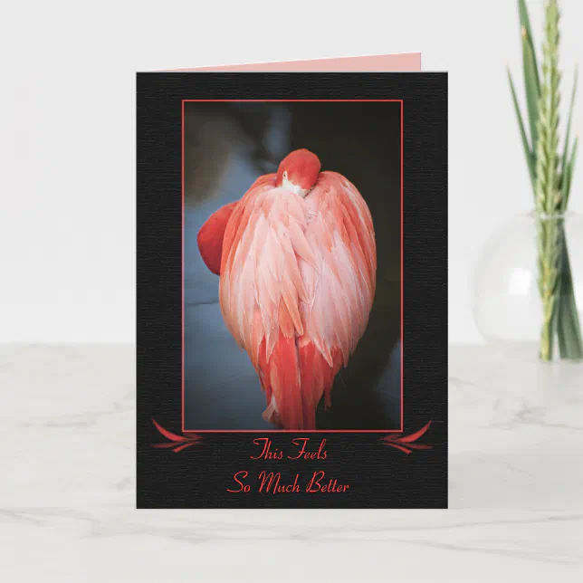 Get Well Flamingo Card | Zazzle