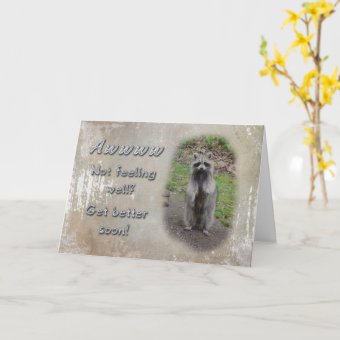 Get Well Greeting Card - Raccoon Feel Better Soon | Zazzle
